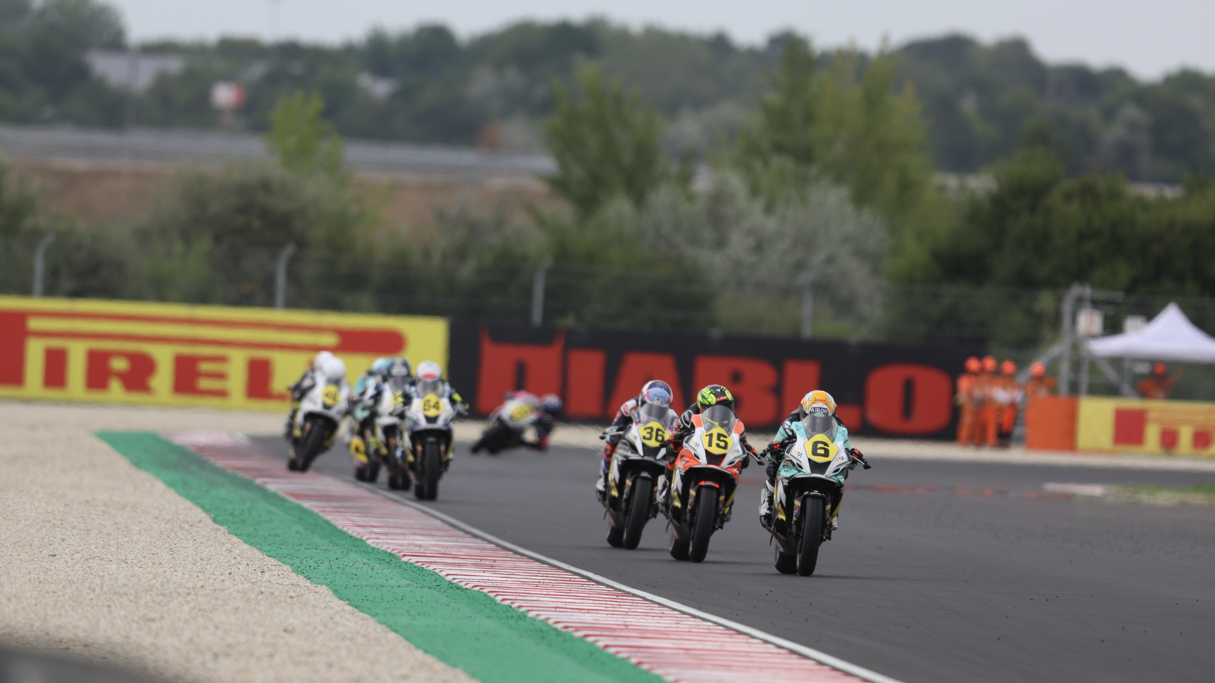 Queenie 73lbs extremely pleasant girl who did a fantastic