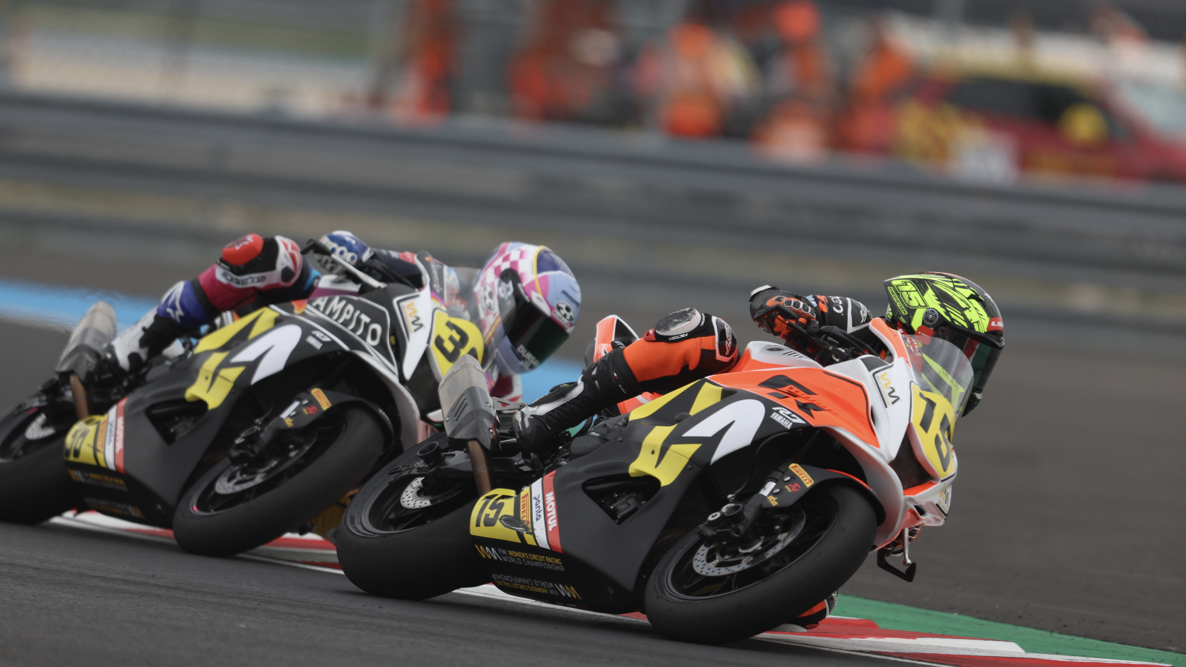 Queenie 73lbs extremely pleasant girl who did a fantastic